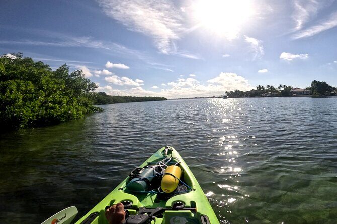 Mangrove Tunnels Pedal Kayak Eco-Tour in Anna Maria - Practical Details
