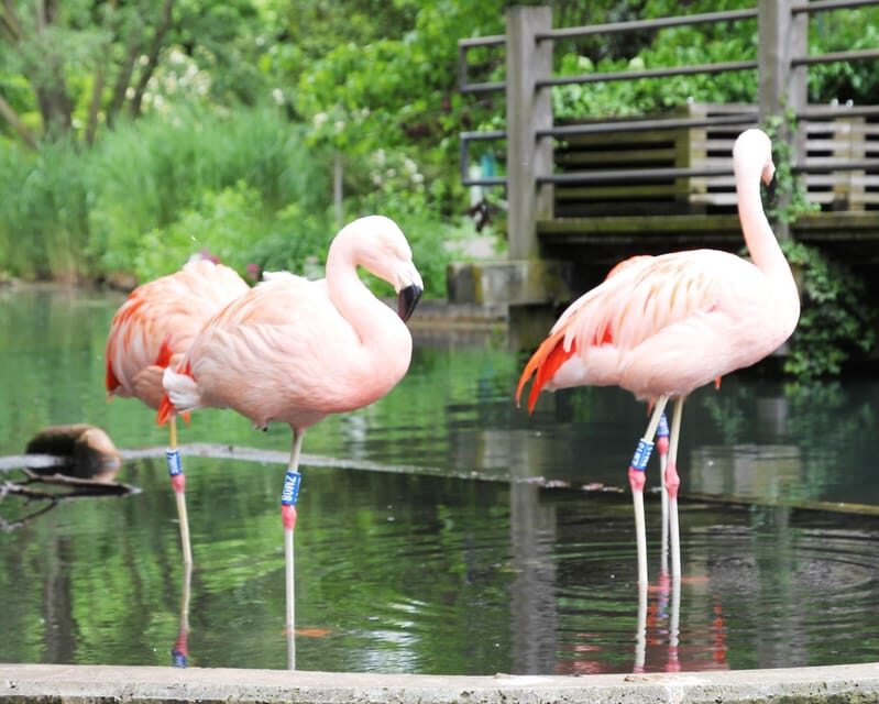 Mannheim, guided park tour: Luisenpark - The Value of This Experience