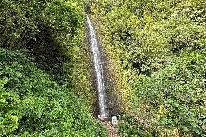 Manoa Falls-Electric Bike to Hike Experience Local meal included - Who Will Love This Tour?