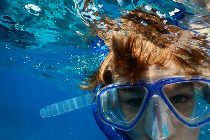 Marathon Key: 3-hour Snorkeling adventure on a Pontoon at Sombrero Reef - Wildlife Encounters and Additional Highlights