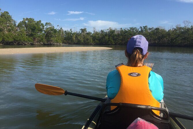 Marco Island Mangrove Tunnel and Maze Adventure Small group size - Why This Tour Is a Good Value