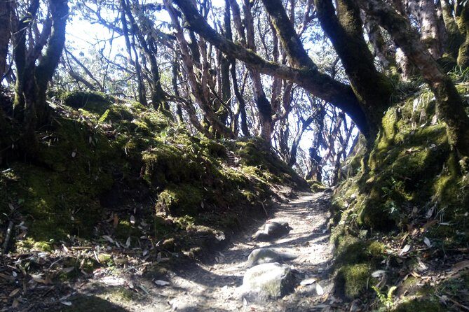 Mardi Himal Trek - The Logistics and Pace