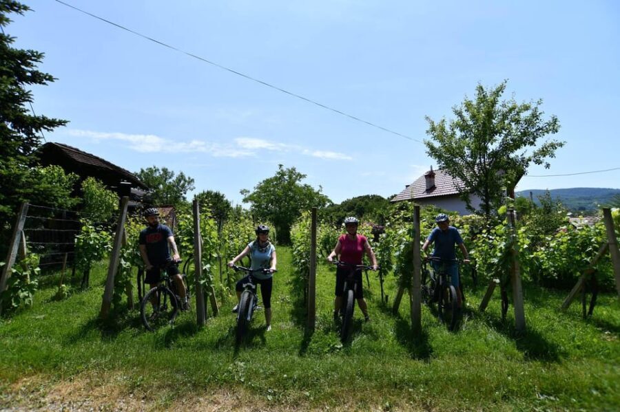 Marija Bistrica: Experience of cycling on country roads - Why This Tour Might Be Perfect for You