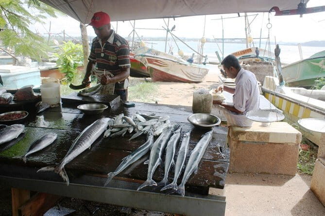 Market Tour and Sri Lankan Cooking Class inside Galle Fort - Analyzing the Value