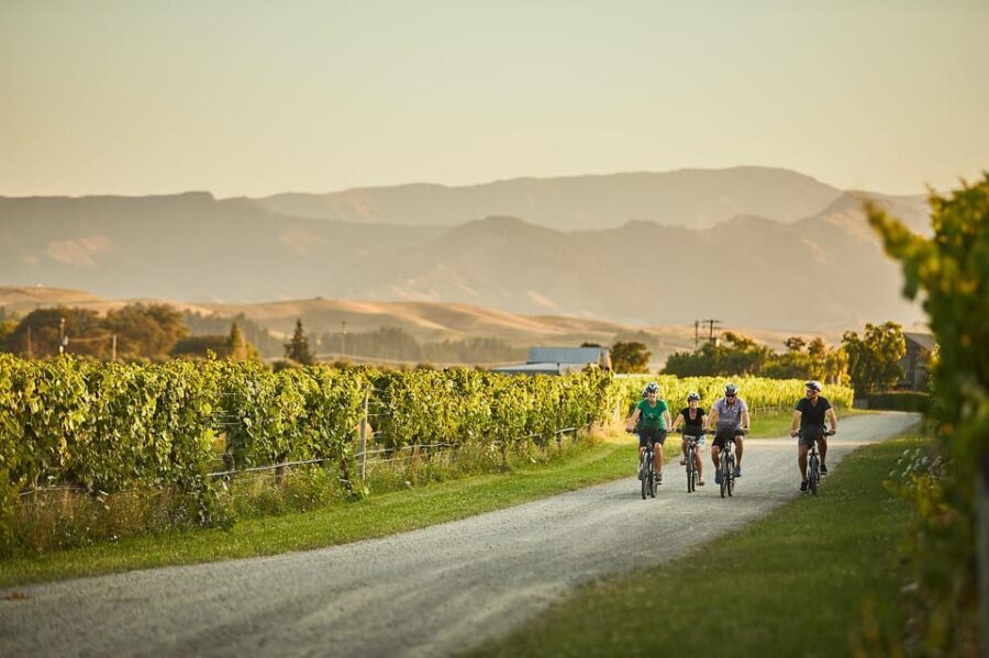 Marlborough: Full-Day Self-Guided Biking Wine Tour - The Itinerary: What to Expect