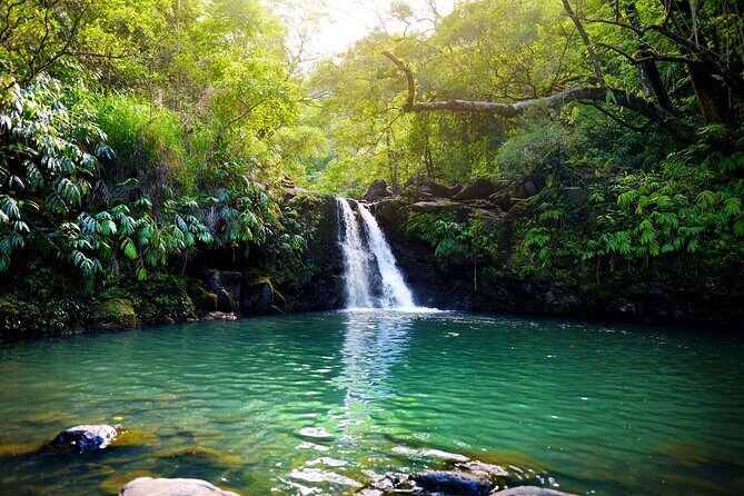 Maui Beach Parks Self-Guided Driving Tour - Authentic Travel Experience: What Travelers Say
