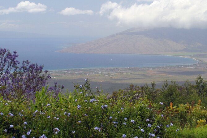 Maui Farm Distillery and local craft experience Full-Day Tour - Who Will Love This Tour?