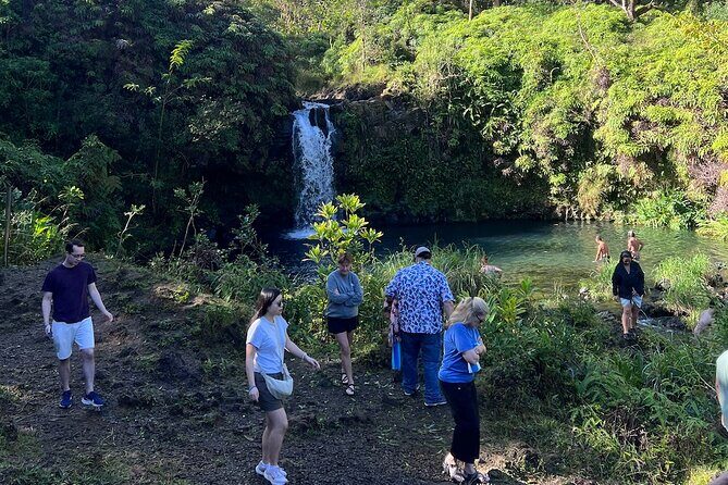 Mauis Sea Turtles, Waterfalls and Road to Hana Adventure - Why This Tour Offers Great Value