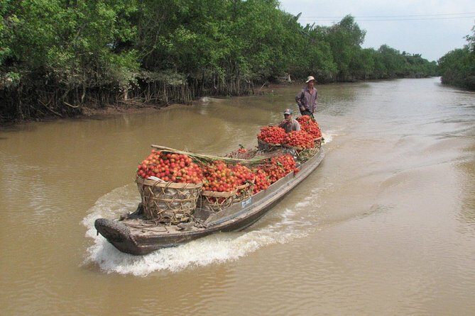 Mekong Delta Cycling Trip Including Cai Be - The Sum Up