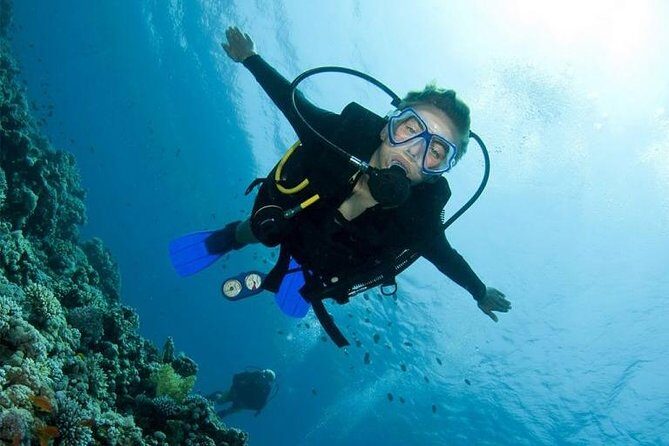 Menjangan Island Bali Diving Activity - What’s Included and What’s Not