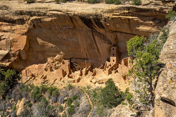 Mesa Verde Express Tour With Tickets To Cliff Palace - What Travelers Say