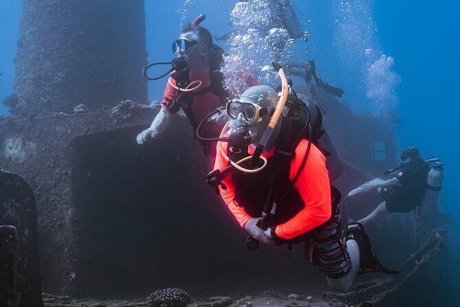 Mesmerizing Private SCUBA Diving Charter in Paradise from Waikiki - Duration and Timing