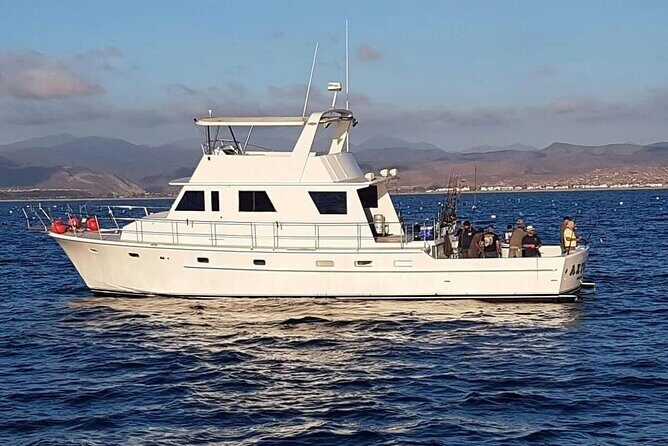 Mexico Special 2-day Tour from Los Angeles - Transportation and Comfort