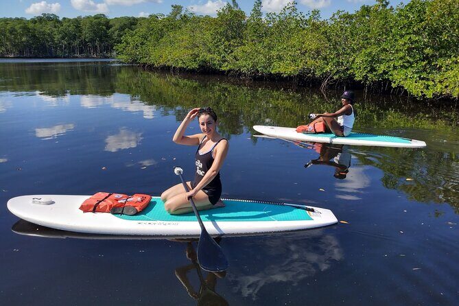 Miami Kayak and Paddleboard Rentals in Virginia Key - What We Loved and What to Consider