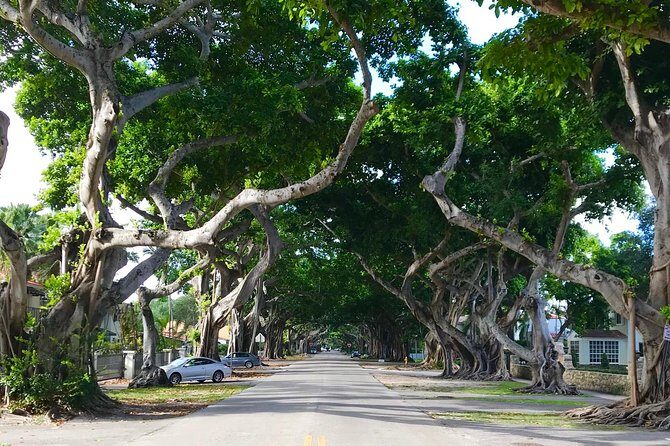 Miami private city tour off the beaten path - Transportation and Group Dynamics