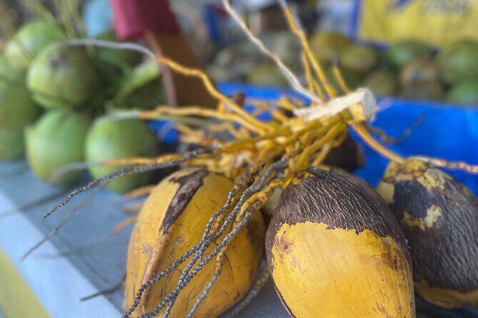 Miami's Most Authentic Walking Tour of Little Havana - Authenticity & Quality