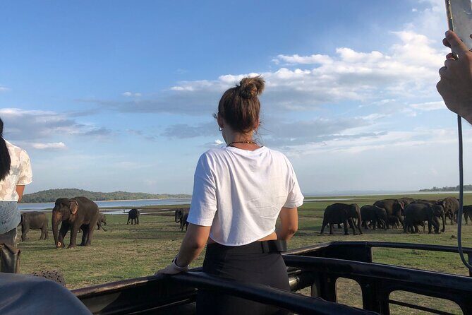 Minneriya Safari Tour from Sigiriya - Detailed Itinerary Breakdown