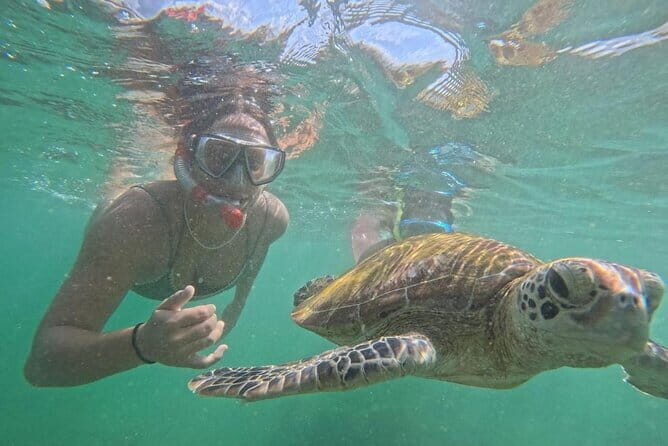 Mirissa Unforgettable Snorkeling Experience with Turtles - The Snorkeling Itinerary: What to Expect