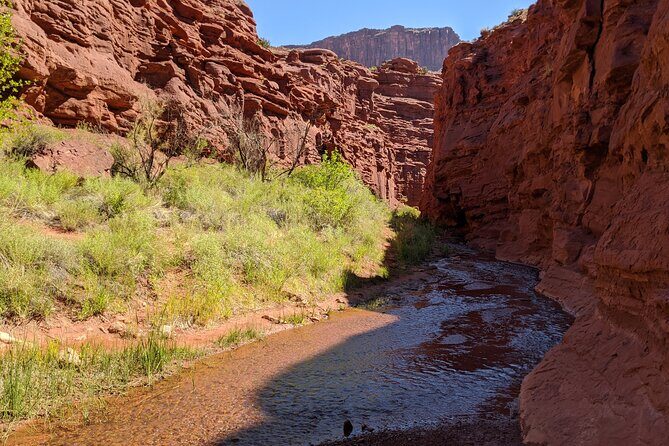 Moab's Slot Canyon Hike: Refreshingly Cool Summer Creek Adventure - A Detailed Look at the Moab Slot Canyon Hike