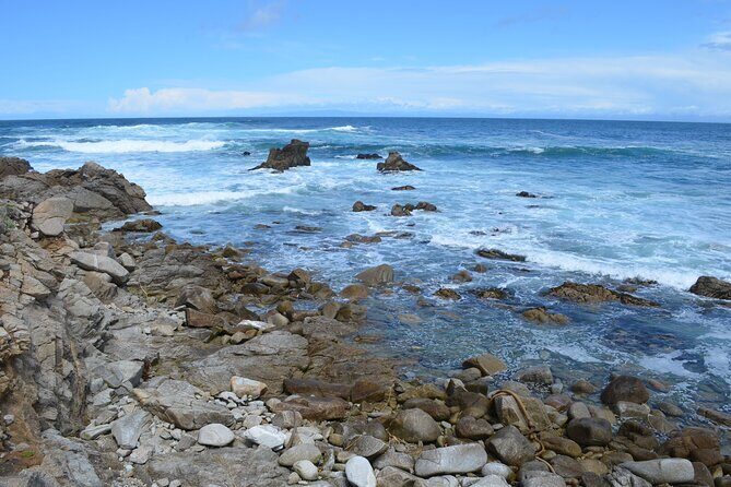 Monterey 1-Day Tour - What We Love About This Tour