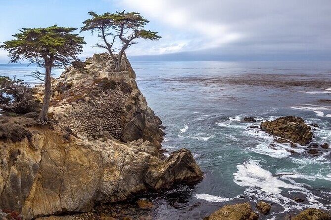 Monterey, Carmel, 17 Mile Drive, Bixby Bridge 5 hrs from Monterey - The Scenic Drive: 17-Mile Drive and Pebble Beach