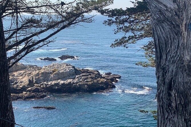 Monterey Carmel Big Sur Pebble Beach by Luxury Vehicle 5 hrs~ - The Value of a Luxury, Private Experience