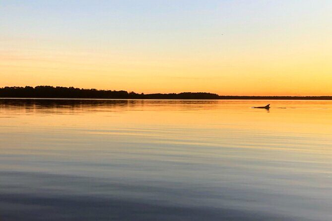 Morning Beaufort River Tour - The Watercraft and Comfort