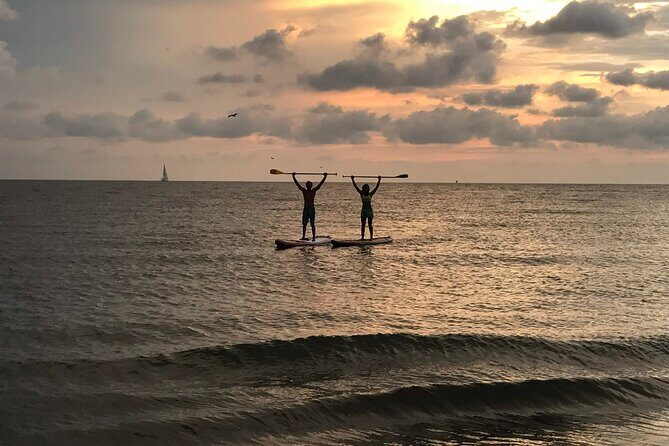 MORNING TOUR PaddleBoard or kayak - The Sum Up