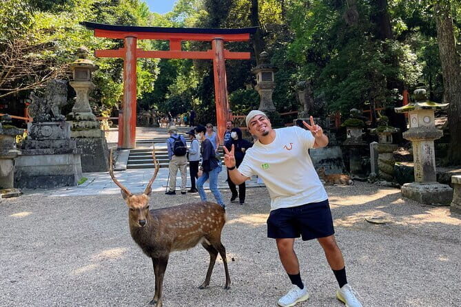 Morning Wonder World Heritage Nara Guided Tour - A Detailed Look at What This Tour Offers