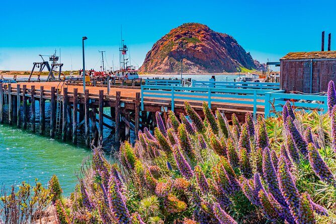 Morro Bay: Private 2 Hour Stroll & Savory Delights Tour - The Practicalities: What You Need to Know