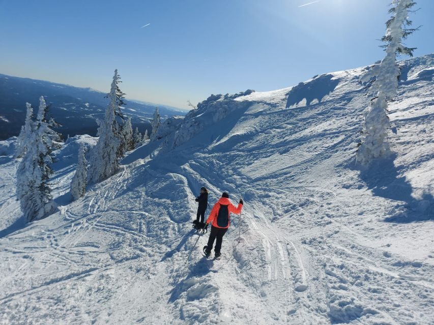 Mount Arber: Snowshoeing in the Bavarian Forest Guided Tour - What Makes This Tour Valuable for Travelers