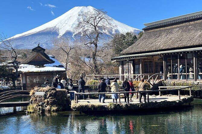 Mount Fuji and Hakone Private Tour with English Speaking Guide - Analyzing the Value