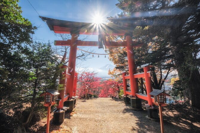 Mount Fuji and Lake Kawaguchi Private Day Trip From Tokyo - Why This Tour Is Worth Considering