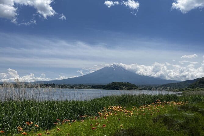 Mount Fuji Day Trip Around Lake Kawaguchiko - Who Will Enjoy This Tour?