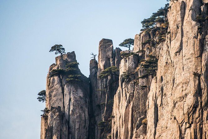 Mount Huangshan Highlights Group Tour -No Shopping - Who Will Love This Tour?
