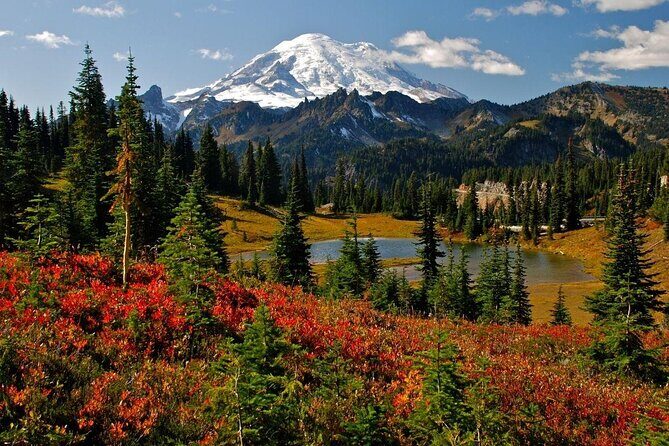Mount Rainier Full Day Private Tour and Hike - What We Think Could Be Better