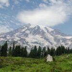 Mount Rainier Full Day Small Group Tour - What’s Included and What to Consider