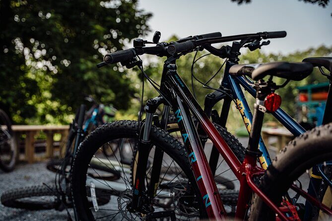 Mountain Bike Tour from The Roanoke Star - Is It Worth the Price?