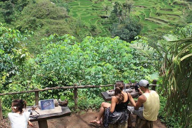 Mt. Batur Trekking With Hot Spring & Guide - Final Thoughts