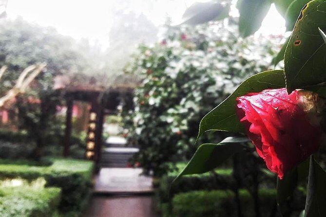 Mt Emei 1 day tour - Who Should Consider This Tour?