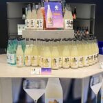 Mt. Fuji, Onsen (tattoo ok) & Japanese Sake, Wine & Whiskey tour - Who Is This Tour Best For?