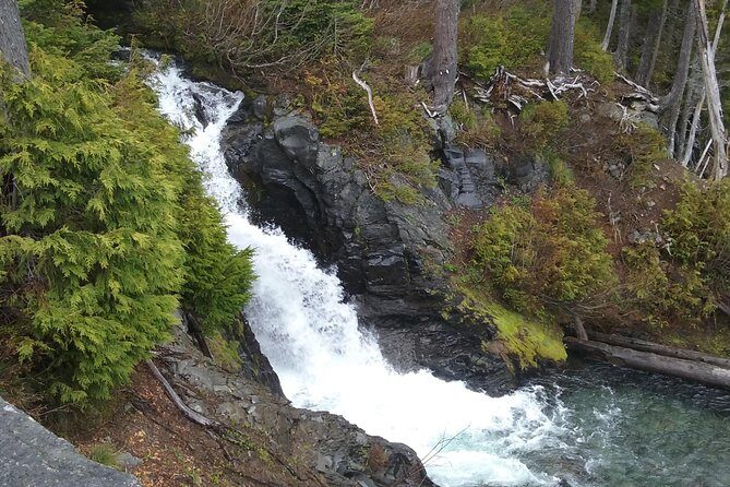 Mt Rainier Private Tour Experience in SUV - Final Thoughts: Is This Tour Right for You?