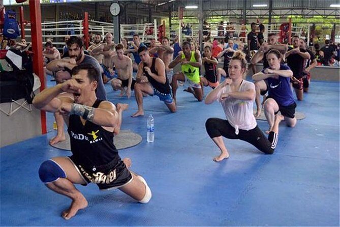 Muay Thai (Thai boxing) Lesson With Private Transfer From Bangkok - Final Thoughts: Who Will Enjoy This?