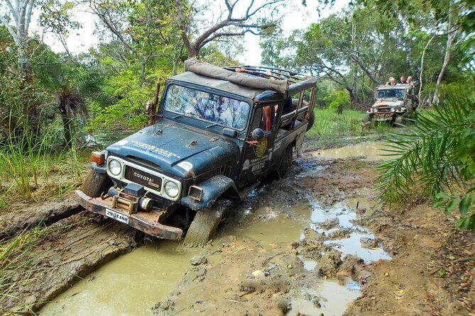 Mud Safari from Habarana - What Travelers Are Saying and Why It’s Worth It