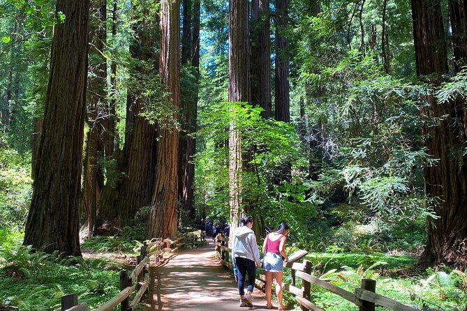 Muir Woods and Golden Gate Bridge 3-hour Private Group Tour - Practicalities and Considerations