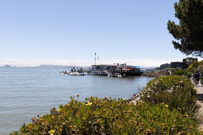 Muir Woods and Sausalito Tour Entrance Fee Included - What Travelers Are Saying