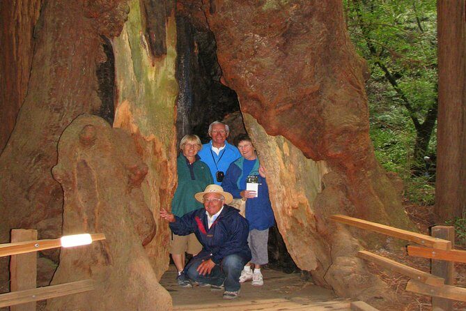Muir Woods Forest Morning and Afternoon Private Tours - Final Thoughts: Who Should Consider This Tour?