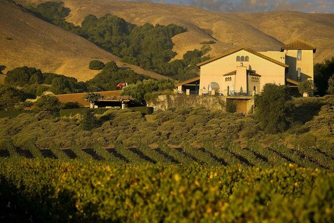 Muir Woods & Napa-8hr-Private Scenic Wine Tour From San Francisco - The Value of this Tour