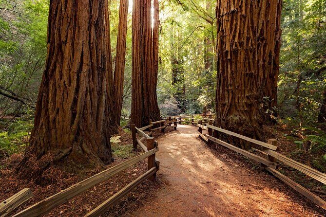 Muir Woods, Sausalito and Golden Gate Bridge - How the Day Unfolds