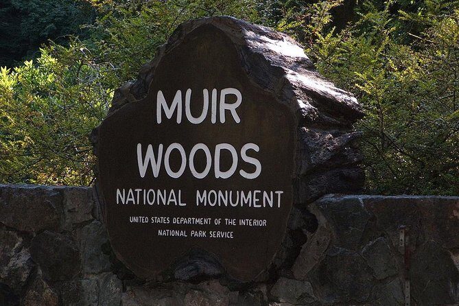 Muir Woods, Sausalito and Tiburon Day Trip from San Francisco - Final Thoughts: Why You Might Love This Tour